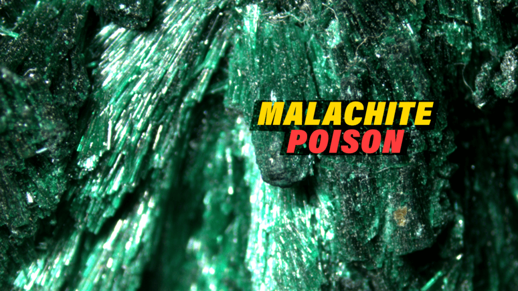 Malachite Poison Facts, Safety Tips, and Common Myths Explained